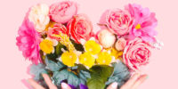 8 Best Movies to Watch If You Love Flowers - Blossoming Gifts