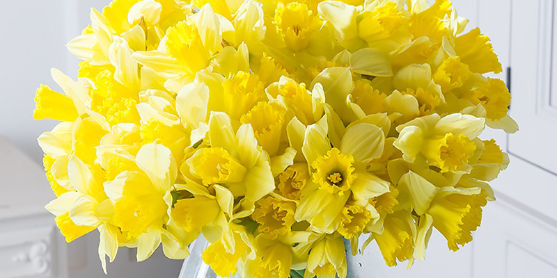 10 things to do with the kids this Spring! | Blossoming Gifts