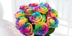 12 Weird & Wonderful Flowers from Around the World - Blossoming Gifts