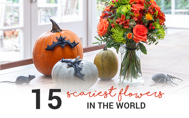15 Scariest Flowers in the World - Blossoming Gifts