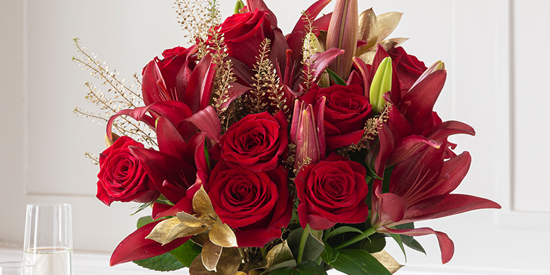 10 Most Festive Flowers & Plants for Christmas - Blossoming Gifts