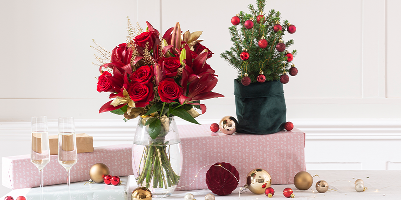 10 Most Festive Flowers & Plants for Christmas - Blossoming Gifts