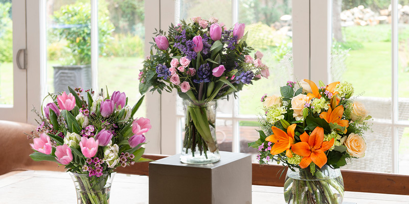 Our Guide to the Best Spring Flowers to Buy Now - Blossoming Gifts