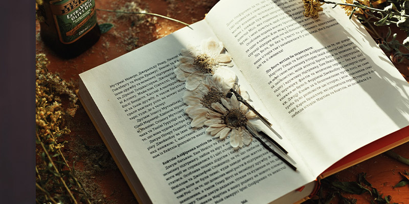 How to Dry & Press Flowers: A Complete Guide - Blossoming Gifts