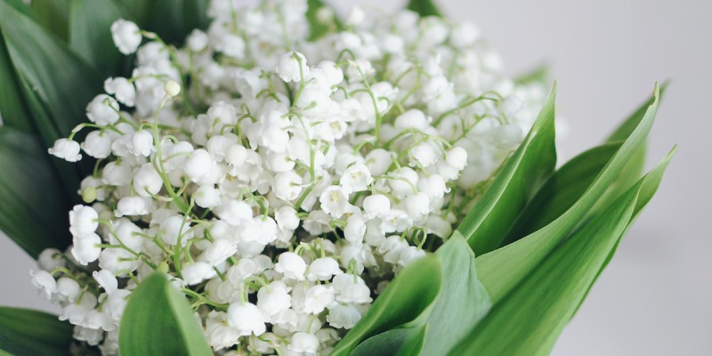 10 of Our Favourite Royal Family Bouquets - Blossoming Gifts