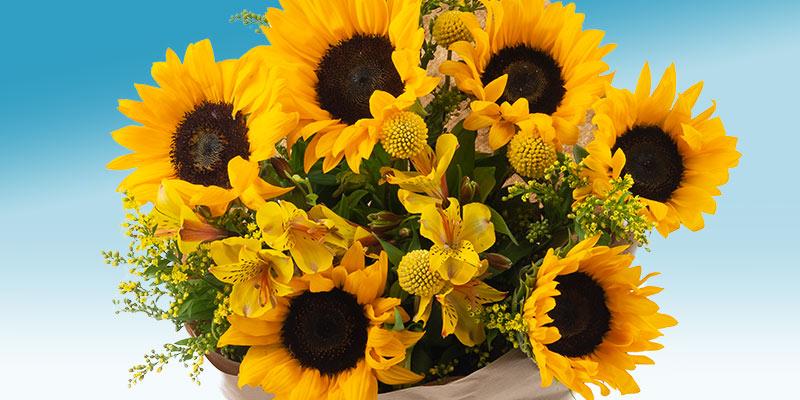10 Best Summer Flowers For Bouquets - Blossoming Gifts