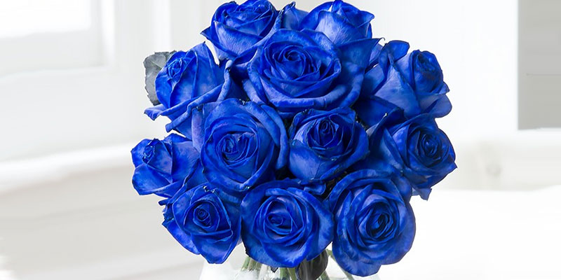 9 Intriguing Facts About Roses - Blossoming Gifts