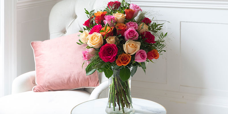 9 Intriguing Facts About Roses - Blossoming Gifts