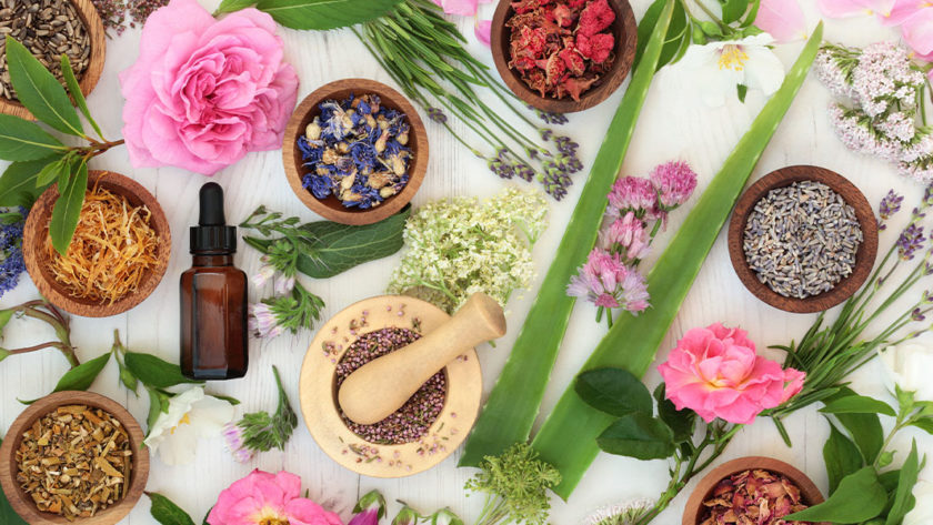 14 Flowers & Plants with Healing Properties | Blossoming Gift