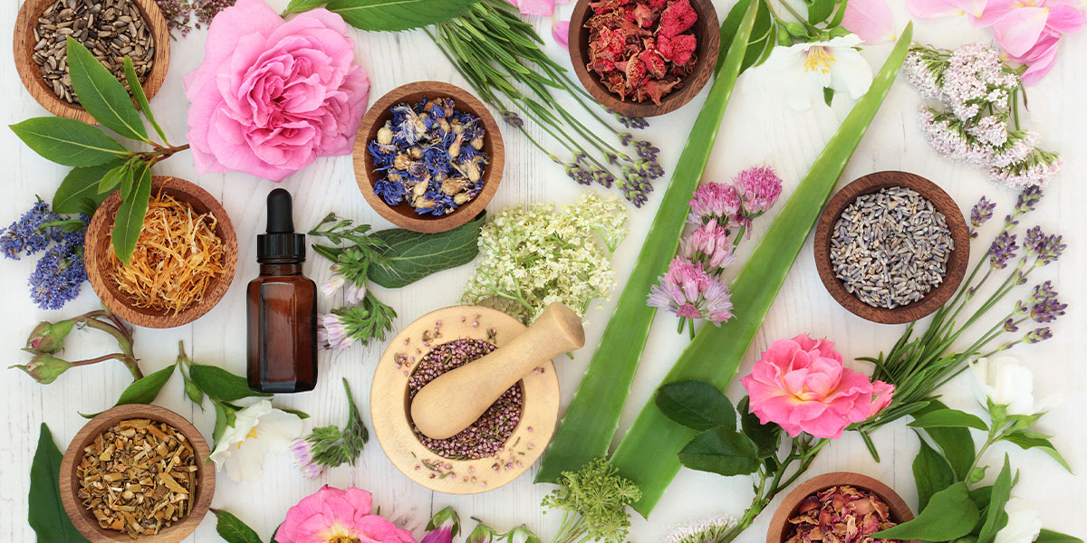 14 Flowers & Plants with Healing Properties | Blossoming Gift