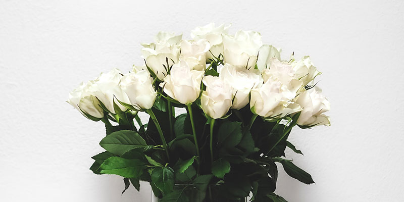 The Complete Guide to Sympathy Flowers - Blossoming Gifts