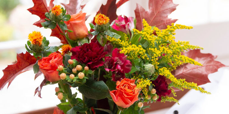 Everything You Need To Know About Carnations | Blossoming Gifts