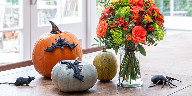 15 Scariest Flowers in the World - Blossoming Gifts