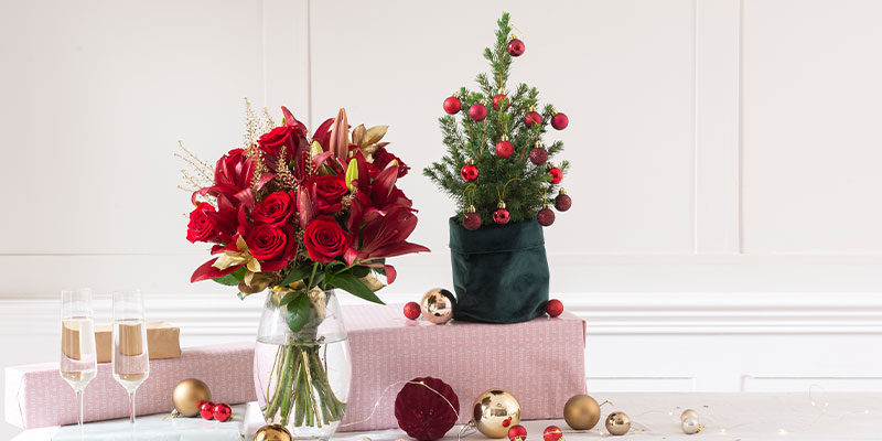5 Reasons to Buy a Mini Christmas Tree this Year - Blossoming Gifts
