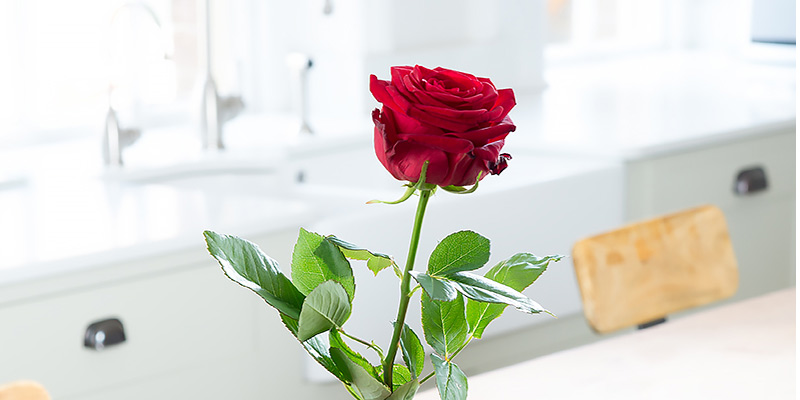 7 Most Romantic Myths & Legends About Roses - Blossoming Gifts