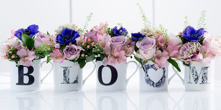 How to Host a Coronation Party to Remember - Blossoming Gifts