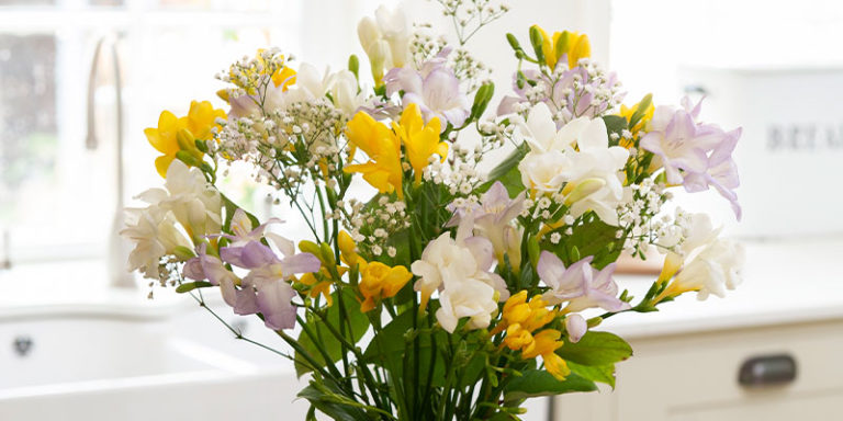 The Best Flowers To Symbolise Femininity - Blossoming Gifts