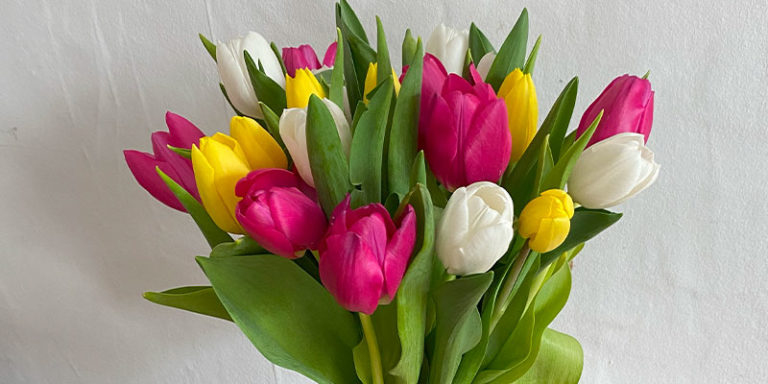 7 Interesting Facts About Tulips - Flowers & Gifts Blog - Blossoming Gifts