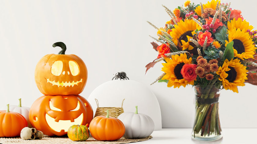 8 Spooktacular Flowers for Halloween - Blossoming Gifts