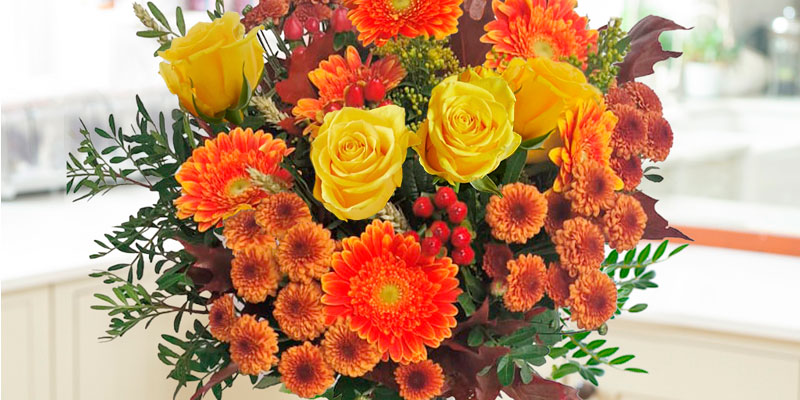8 Spooktacular Flowers for Halloween - Blossoming Gifts