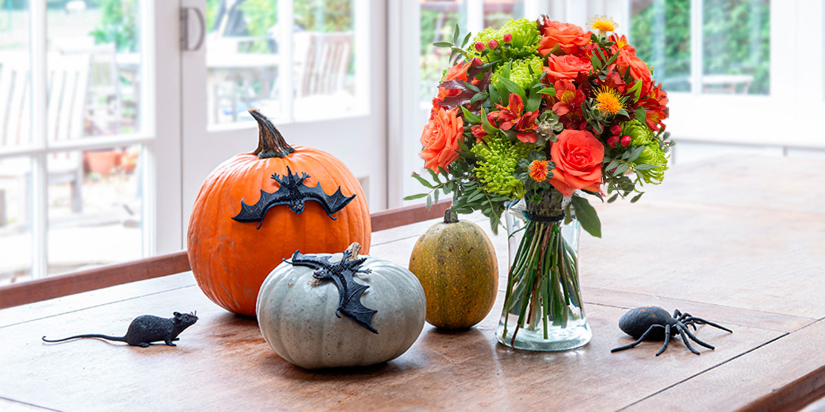 15 Scariest Flowers in the World - Blossoming Gifts