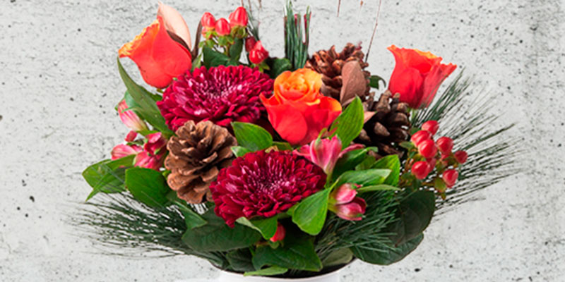 8 Best Flowers for New Year Bouquets | Blossoming Gifts