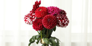 10 Flowers that Symbolise Kindness - Blossoming Gifts