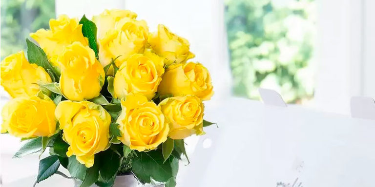 10 Flowers with Negative Meanings - Blossoming Gifts