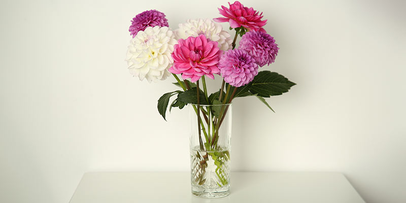 How to Pick the Right Vase for Your Flowers | Blossoming Gifts