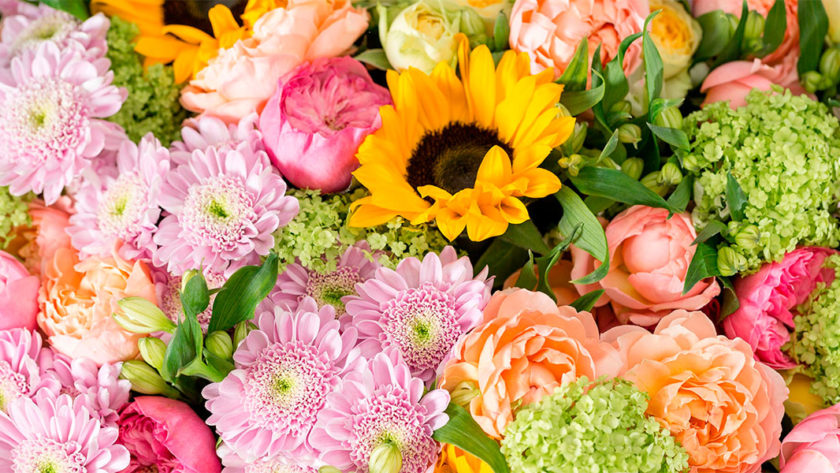 The Best Cut Flowers For Every Season in the UK | Blossoming Gifts