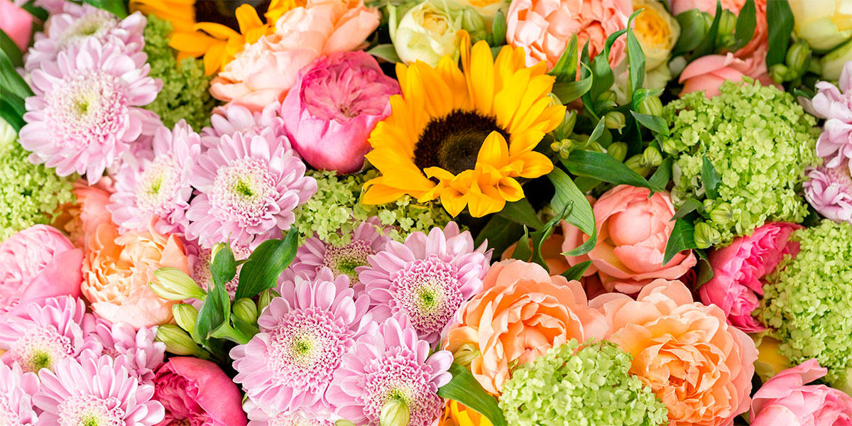 The Best Cut Flowers For Every Season in the UK | Blossoming Gifts