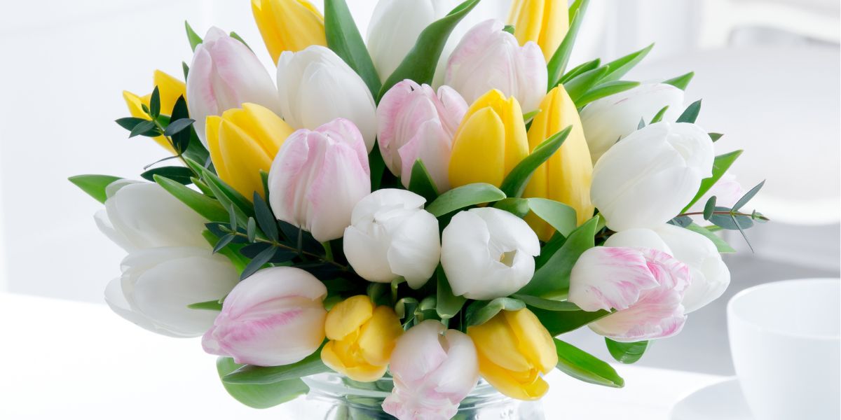 7 Interesting Facts About Tulips - Flowers & Gifts Blog - Blossoming Gifts