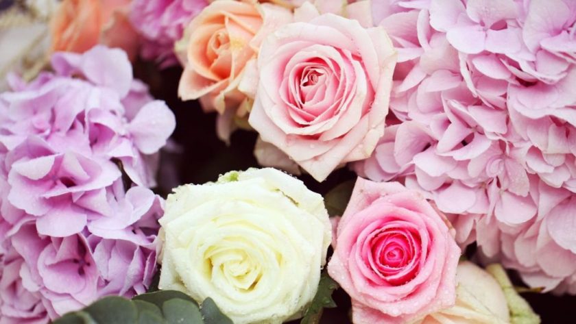 What Your Favourite Flower Says About Your Personality | Blossoming Gifts