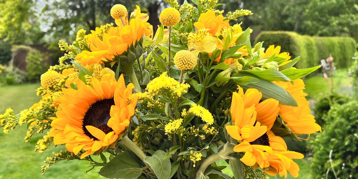 Top 8 Yellow Flowers for Bouquets | Blossoming Gifts