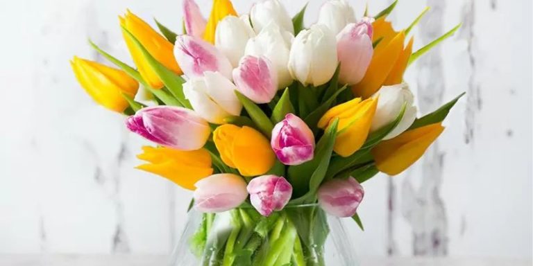 12 Of The Best Flowers To Say Thank You | Blossoming Gifts